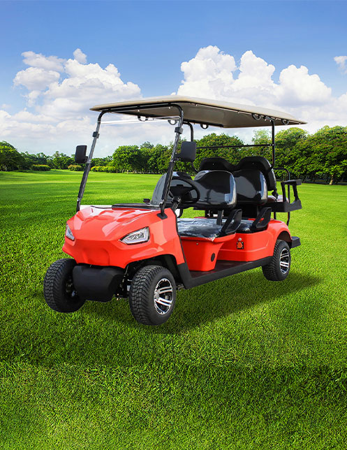 Street Legal Golf Carts & Electric Vehicles | Cost-effective Chinese ...
