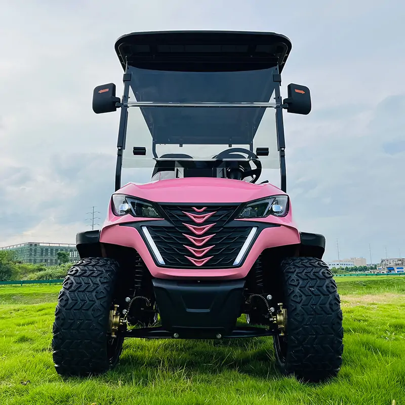 Lifted 2 Seater Golf Cart (RBL-2) - EVrambler